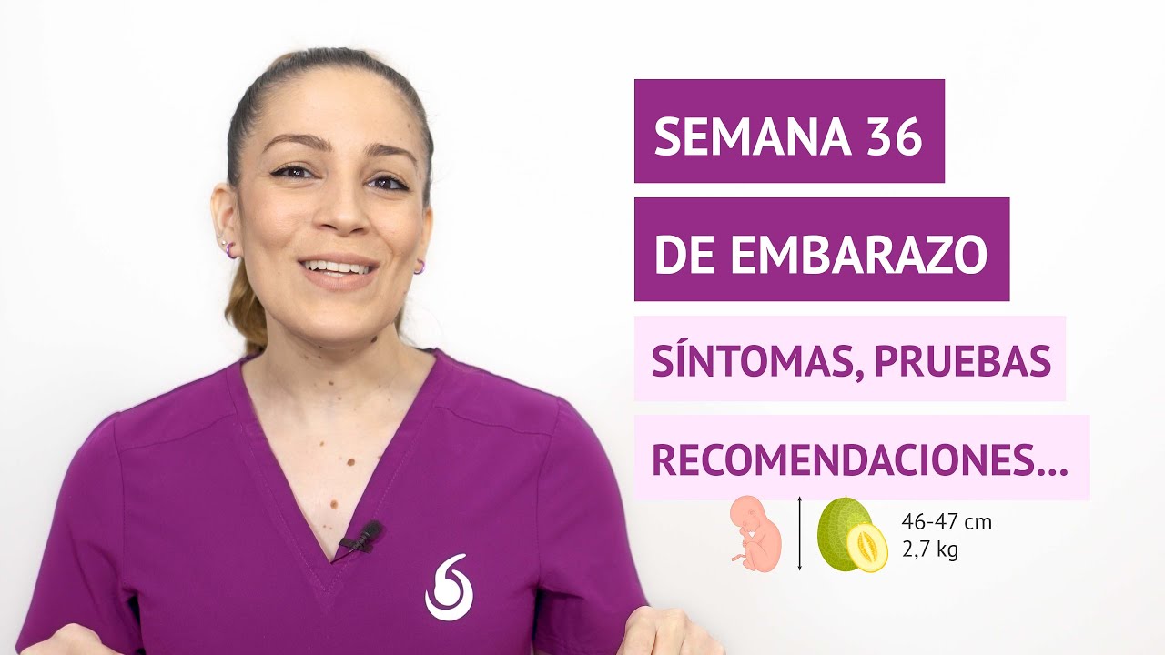 Semana 36 de embarazo 🤰: cambios en el bebé y síntomas en la madre
