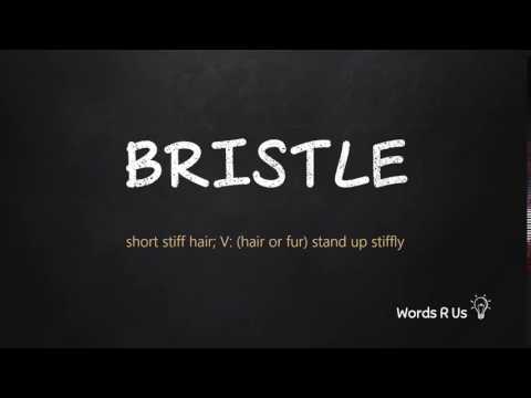 How to Pronounce BRISTLE in American English