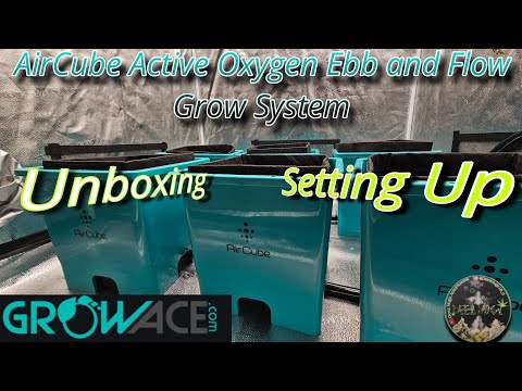 AirCube Active Oxygen Ebb and Flow 6-Site Grow System - Unboxing and Setting up