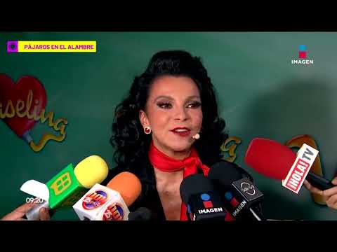 La peluca de Erik Rubín se llevó la obra de 'Vaselina'; estos son los ...