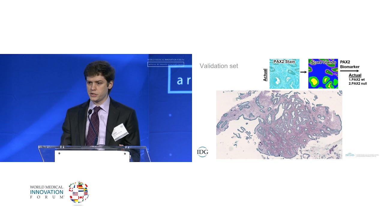 2019 WMIF | IDG: David Papke, MD, PhD