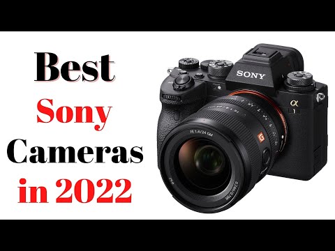 Top 7 BEST Sony Cameras [2022]