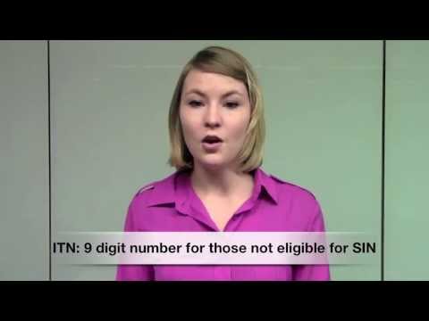 The Difference between an Individual Tax Number and a Social Insurance Number