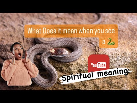 Spiritual meaning of a Snake