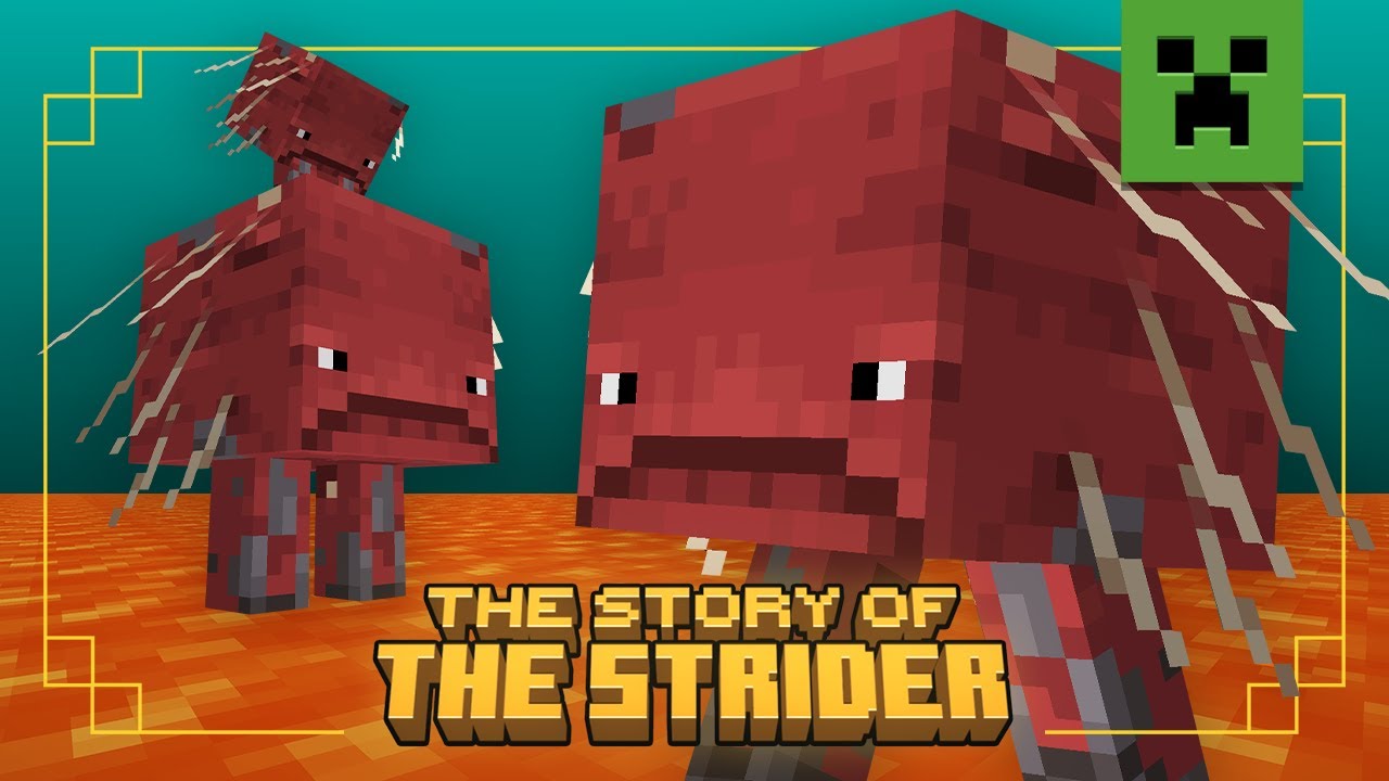 Why Do Striders Drop String? | The Story Of The Strider