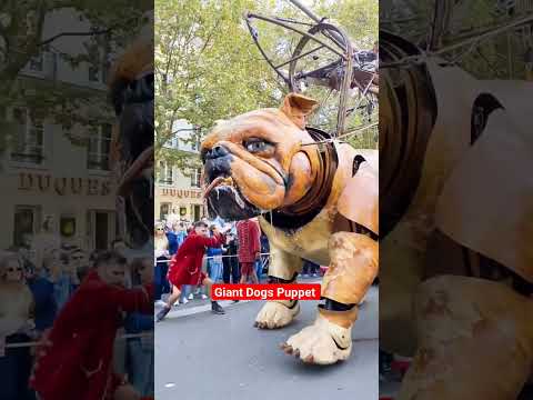 #Shorts Giant Puppet of Dog.