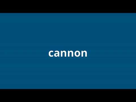 what is the meaning of cannon.