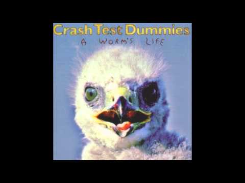 Crash Test Dummies - There Are Many Dangers