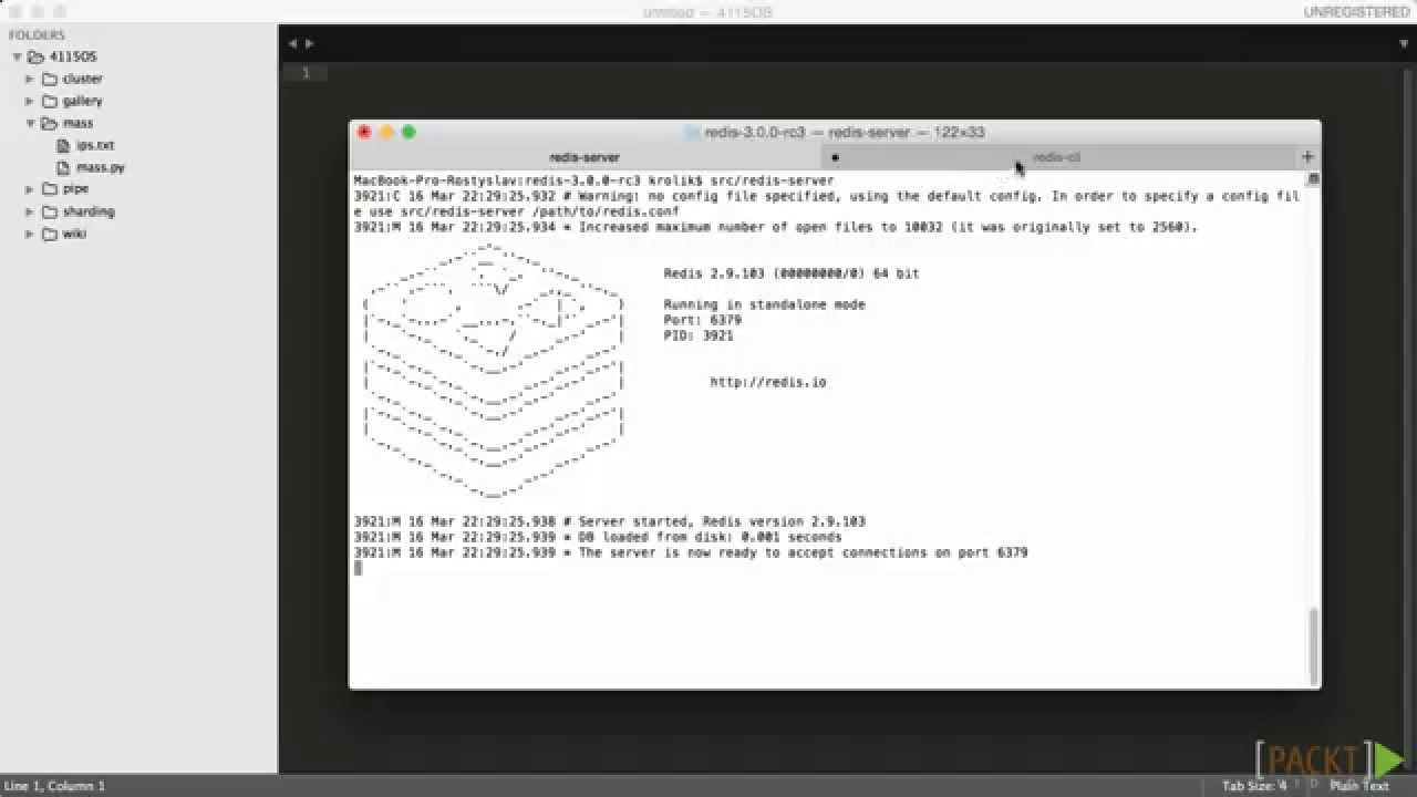 Building Databases with Redis Tutorial: Introducing an Image Gallery Application | packtpub.com