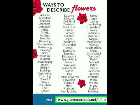 Many ways to Describe Flowers || Word vocabulary