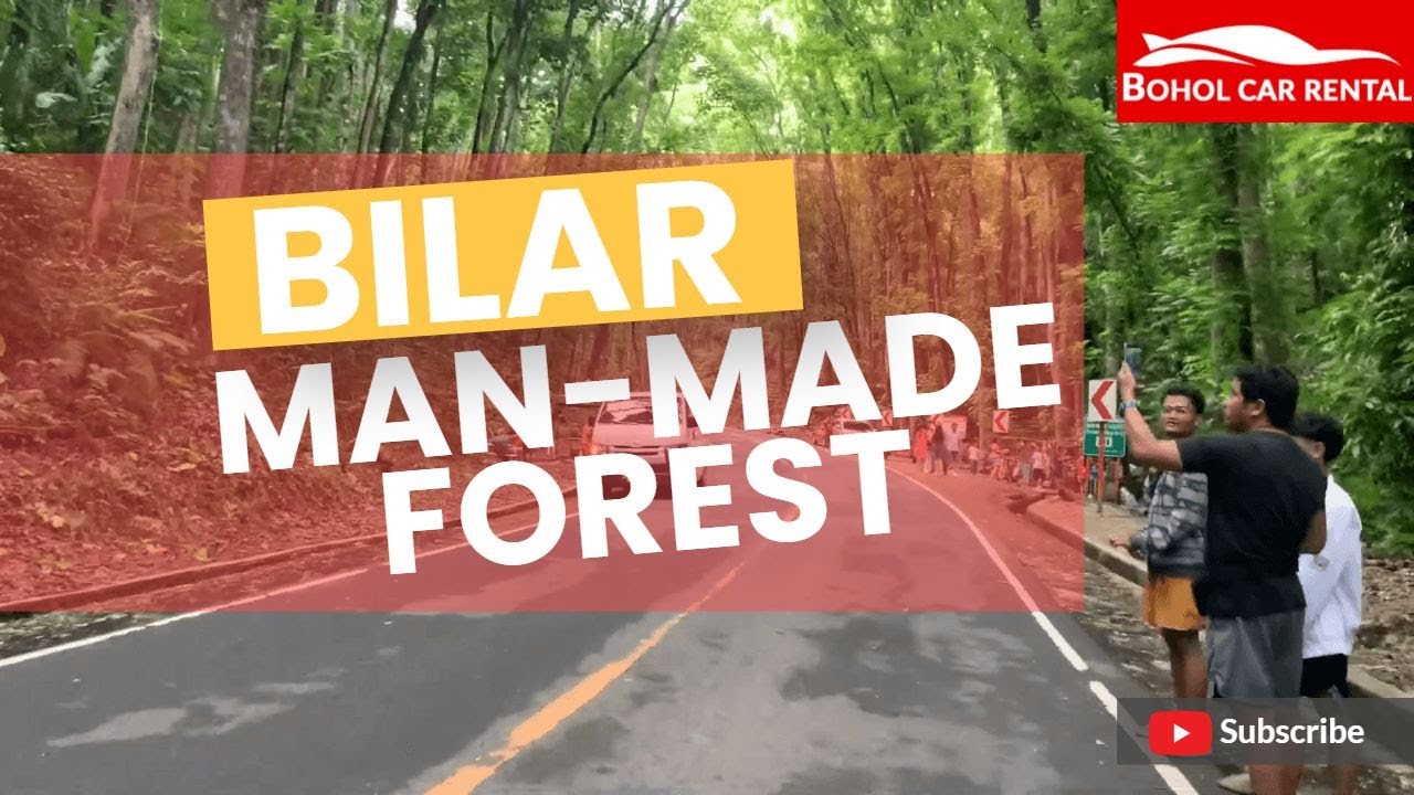 Exploring Bilar Man-Made Forest in Bohol #travel #bohol #philippines