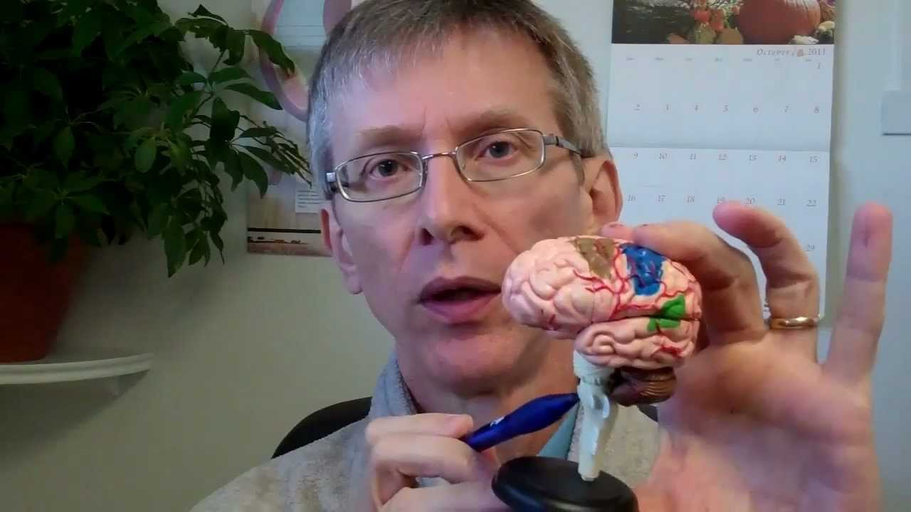 Why You Don't Feel NUCCA Upper Cervical Adjustments