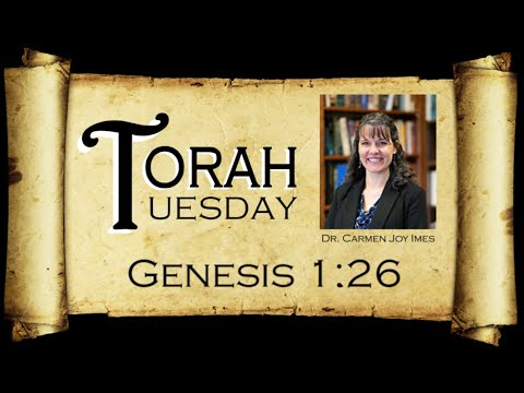 Torah Tuesday - Genesis 1:26