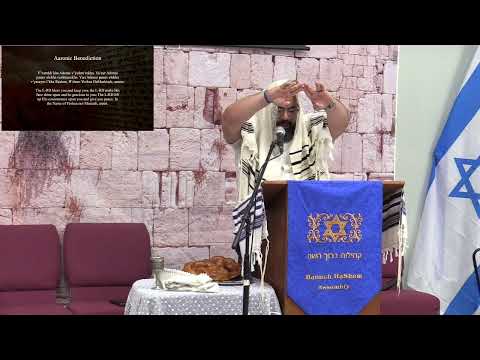 Bamidbar | In the Wilderness | Shavuot | 2025