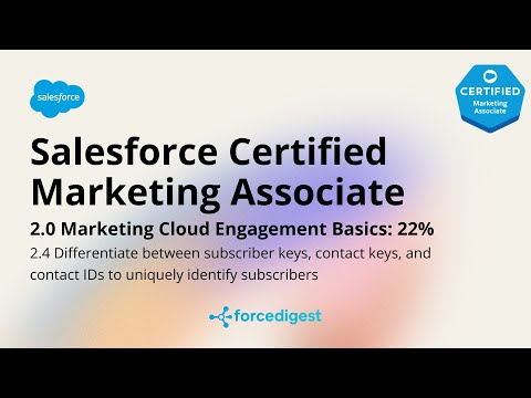 Salesforce Certified Marketing Associate - Video Course Vol. 2.4