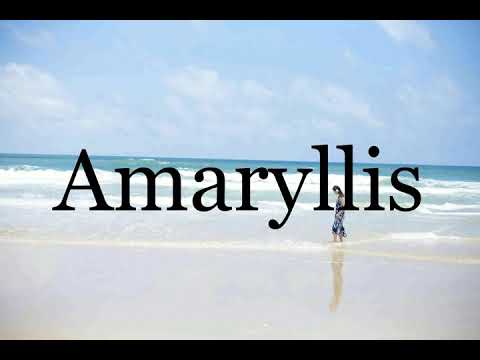 How To Pronounce Amaryllis🌈🌈🌈🌈🌈🌈Pronunciation Of Amaryllis