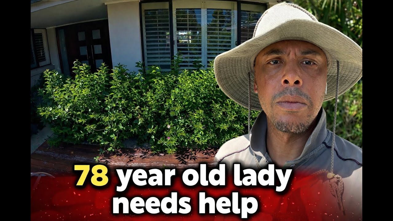 Overgrown Yard Clean Up For 78 YEAR OLD LADY