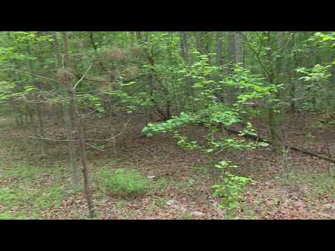 Georgia hunting lease now available on HLRBO!
