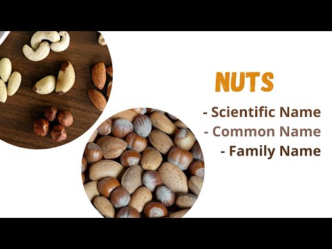 NUTS | Scientific Name | Common Name | Family Name | AgriEdify
