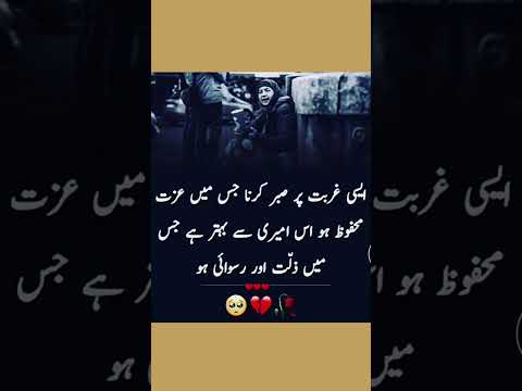 #learningcover #inspirationalquotes #goldenwords #urdu #rumiqoutes #quotes