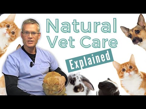 Holistic Vet Care - How’s it Different? Dr. Neal Sivula Explains