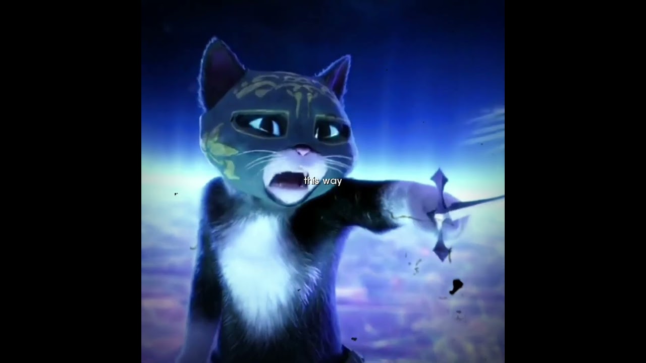 kitty softpaws || my goodbye #edit #shorts