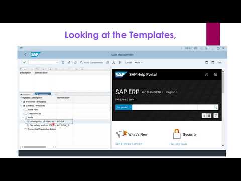IS 437 Project - SAP Audit Management Demo