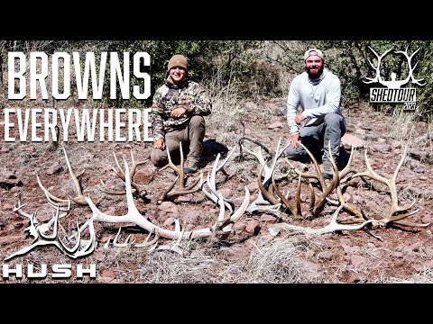 WE FINALLY FOUND THE POCKET! BROWN ELK SHEDS | SHEDTOUR S5EP5