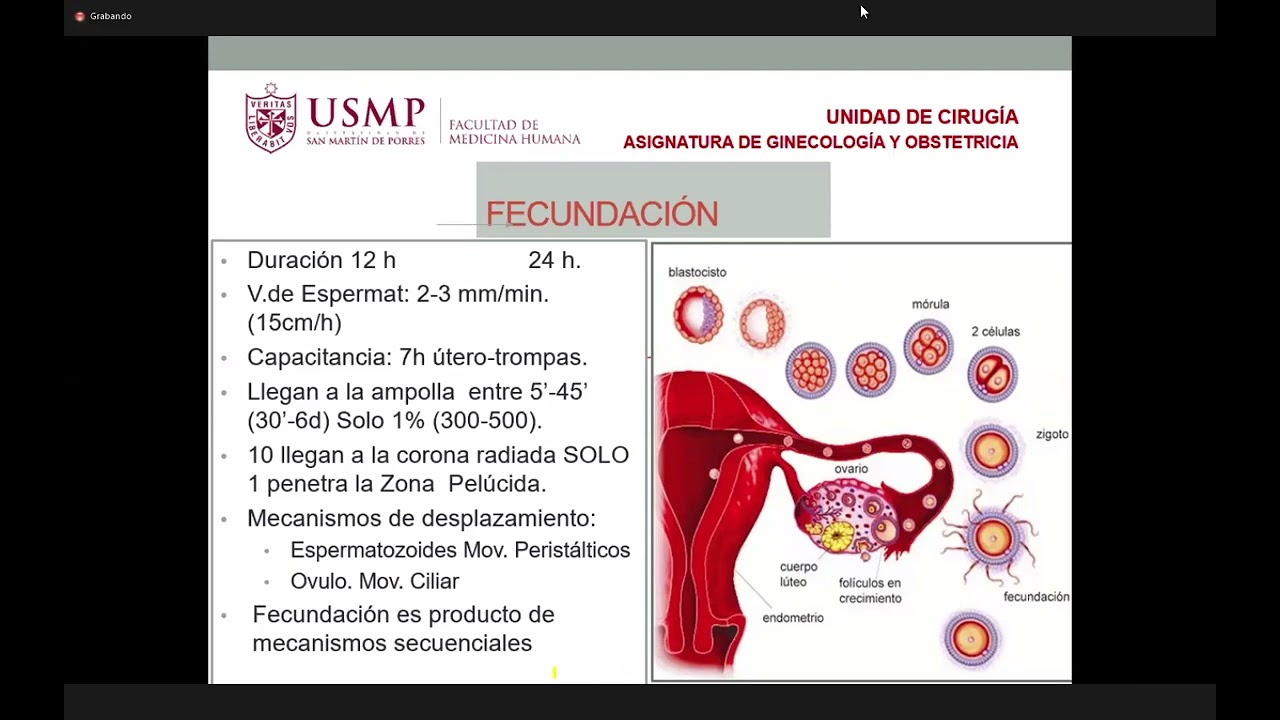 CLASE 02 OBSTETRICIA