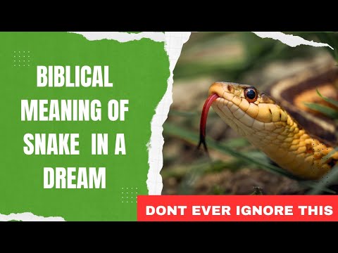 Dream about Snake Biblical Meaning