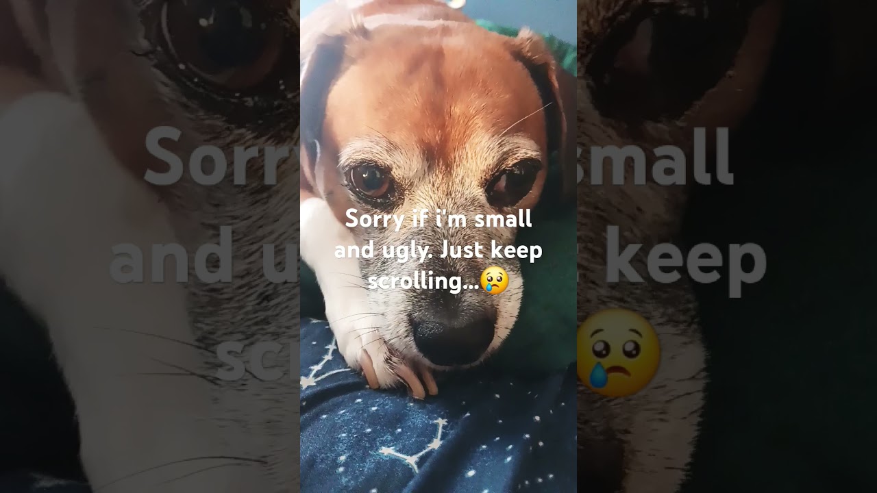 just scroll like always