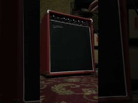 Evans Custom Amplifiers E250 15" Speaker Guitar Amp Lap Steel | Reverb
