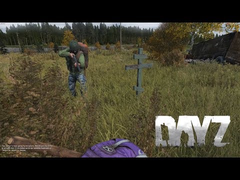 Steam Community :: Video :: (Insert Explicit Language) - DayZ ...
