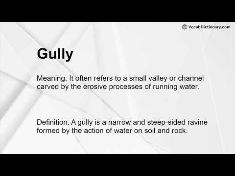 Gully Meaning