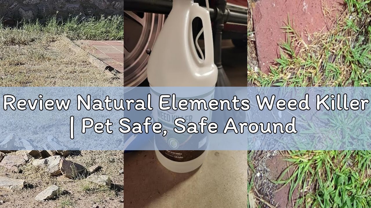 Review Natural Elements Weed Killer | Pet Safe, Safe Around Children | Natural Herbicide (1 Gallon)