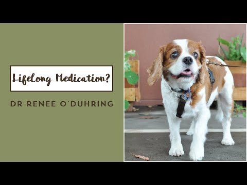 CASE STUDY: Does Bo need lifelong medication? - Dr Renee O'Duhring