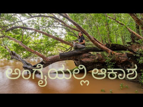 A. K. Ramanujan. Poetry. Kannada. Inspiration. – Silkworm Slumbers