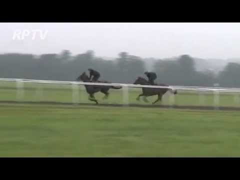 Frankel on the gallops