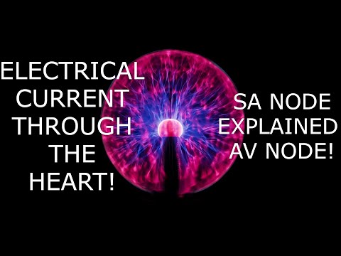 SA NODE! Sinoatrial Node Explained! Pacemaker of the heart explained!!