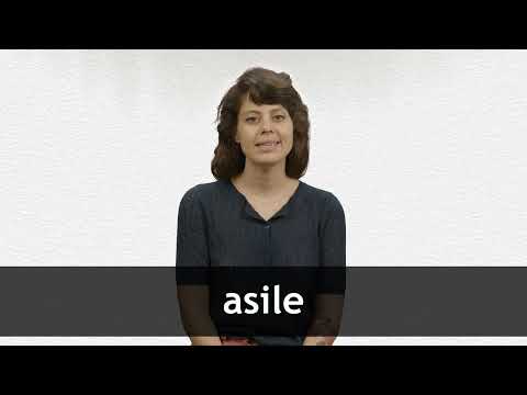 English Translation of “ASILE” | Collins French-English Dictionary