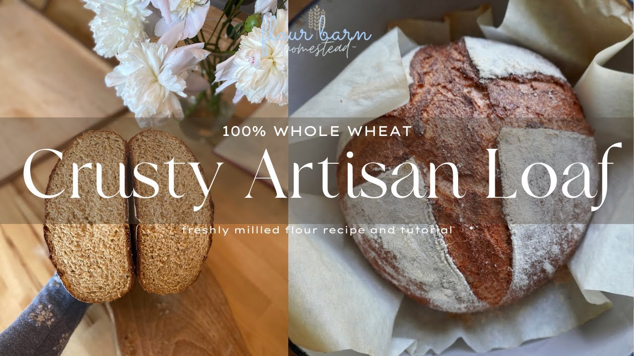 100% Whole Wheat Artisan Bread Recipe Using Freshly Milled Flour, Perfect Beginner Bread recipe!