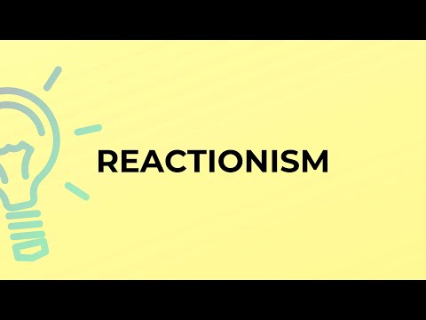 What is the meaning of the word REACTIONISM?