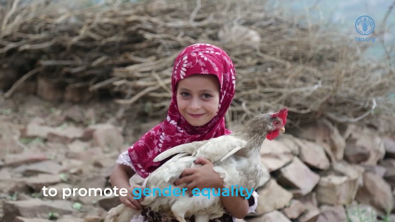 Transforming agrifood systems through shared learning