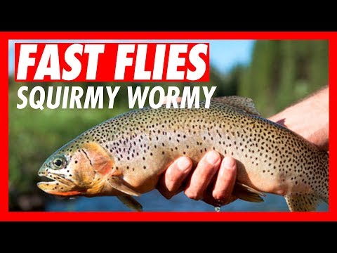FAST FLIES: SQUIRMY WORMY