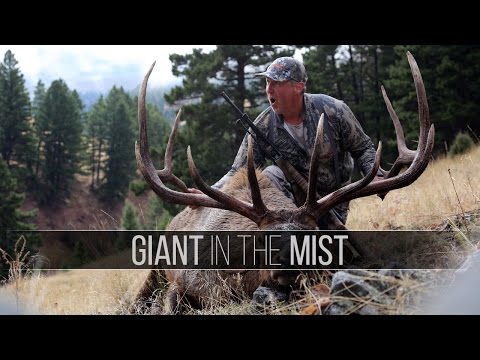 Hunting Bugling Montana Bulls - Giant in the Mist