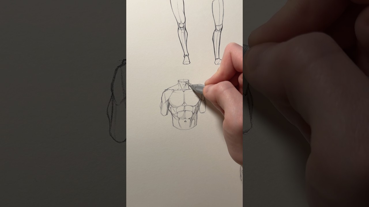 How I Draw the Male Torso #torso #tutorial #how #howto #howtodraw #anatomy #drawing #sketch #fyp
