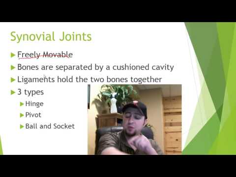 Types of Joints