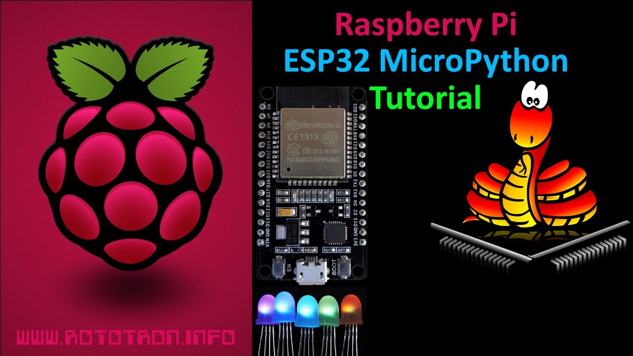 ESP32 MicroPython Tutorial with Raspberry Pi
