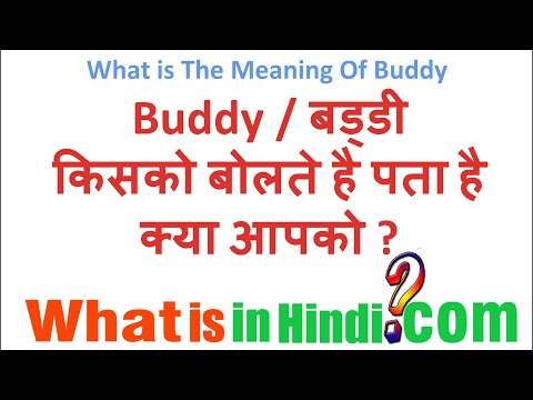 What is the meaning of Buddy in Hindi | Buddy ka matlab kya hota hai