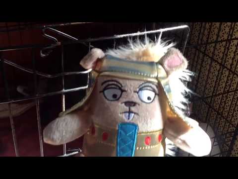BarkBox Unboxing with Aurora May 2018 Free Subscription Code below